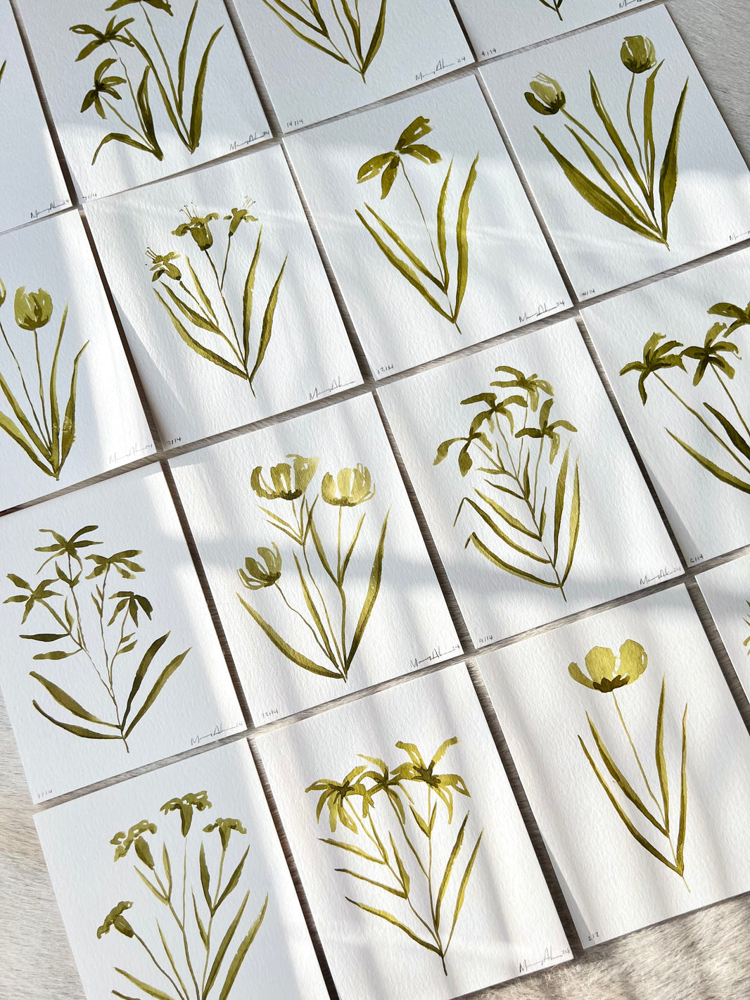 Dainty – Drawings by Mappy